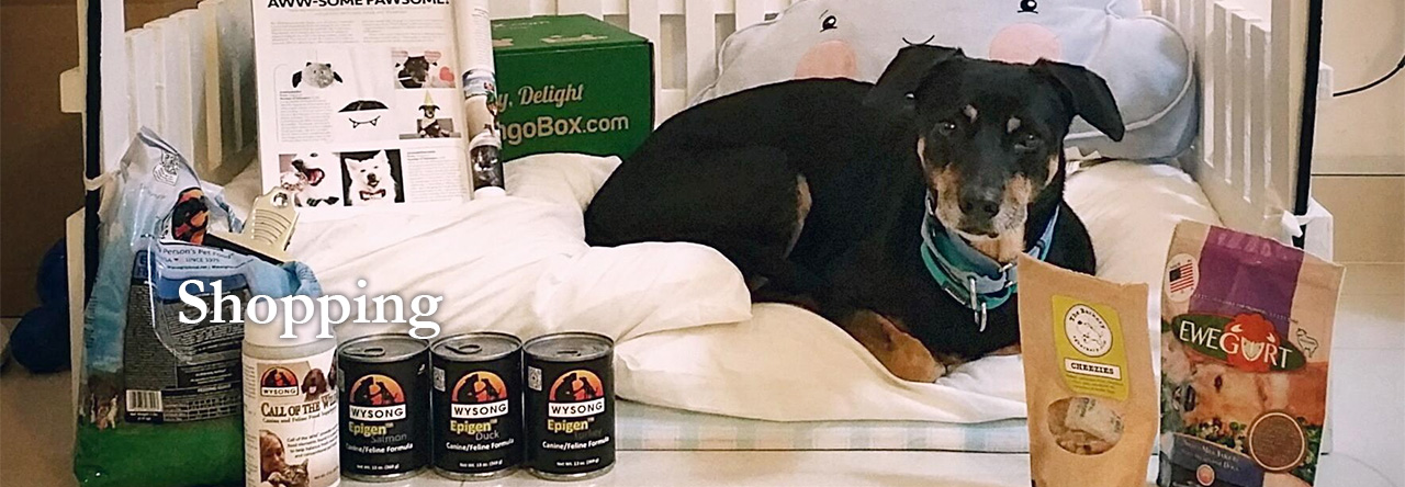 Cheapest Singapore Pet Shop for Dog Food & Pet Supplies - We live in a flat